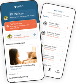 Otto - Download App